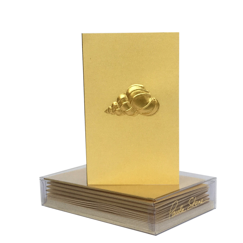Precious Shell Boxed Mini Note – Paula Skene Designs